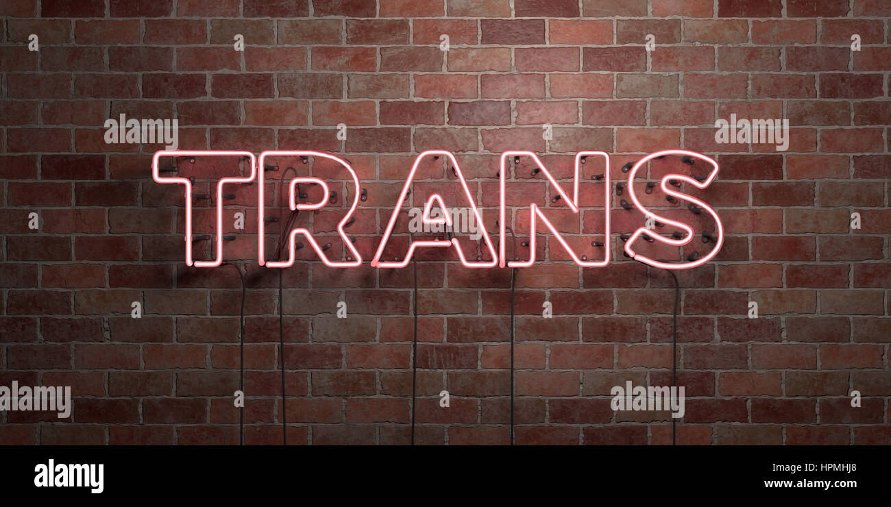 TRANS - fluorescent Neon tube Sign on brickwork - Front view - 3D ...