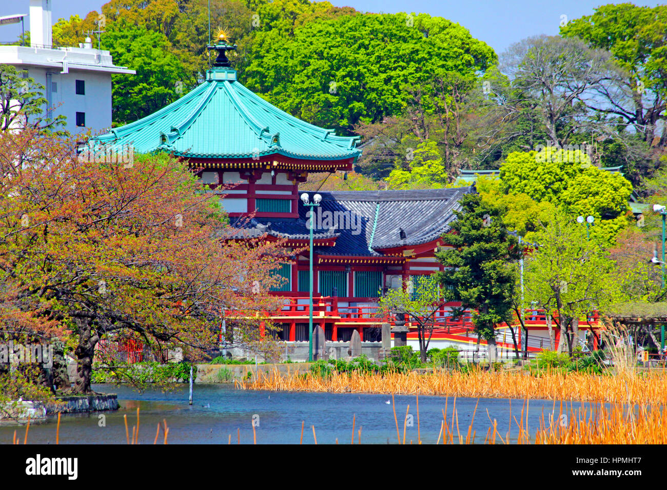 Sinobazu-no-Ike Bentendo Temple Ueno Tokyo Japan Stock Photo - Alamy