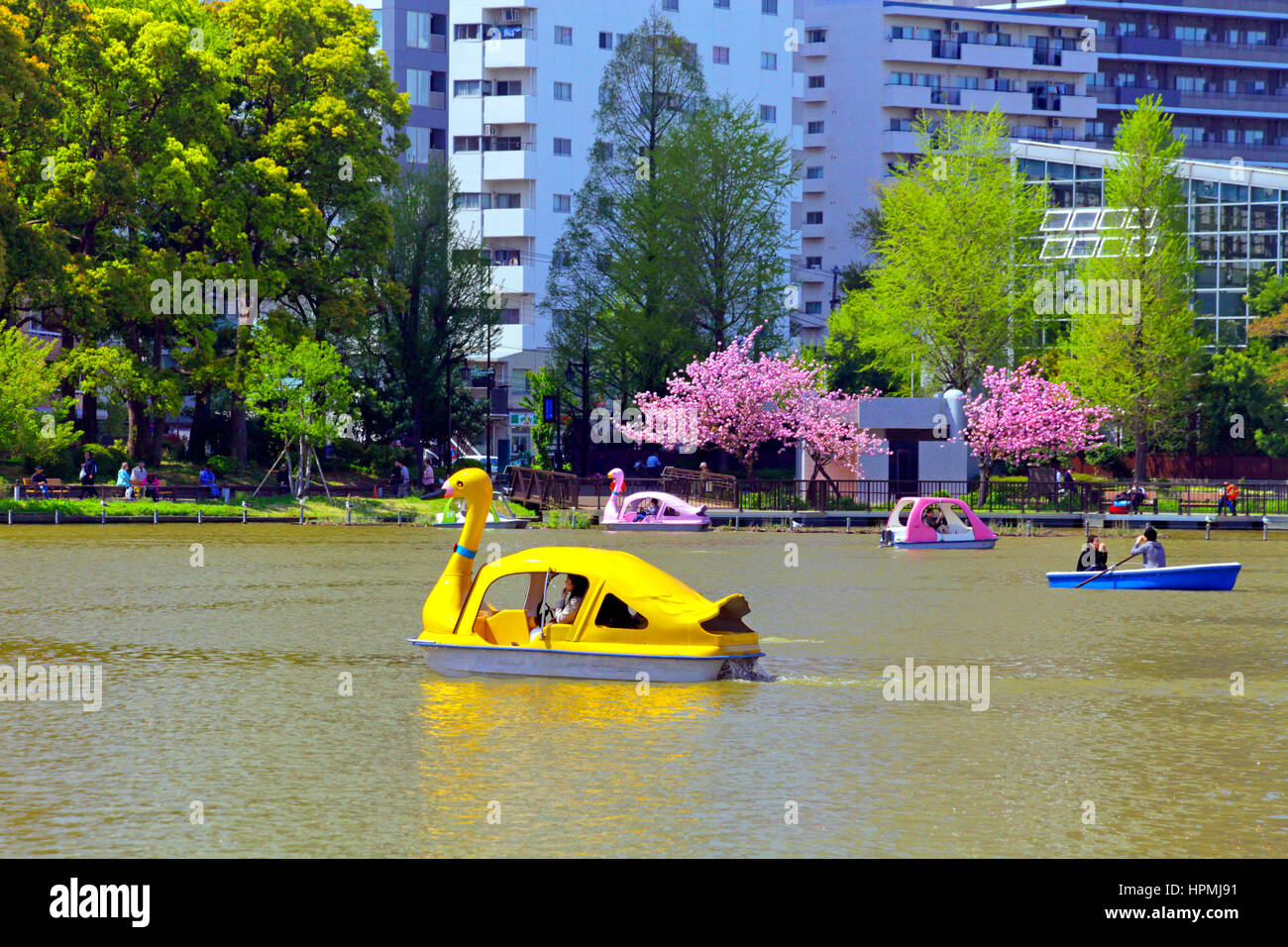 Shinobazu Pond in Ueno Park Tokyo Japan Stock Photo - Alamy