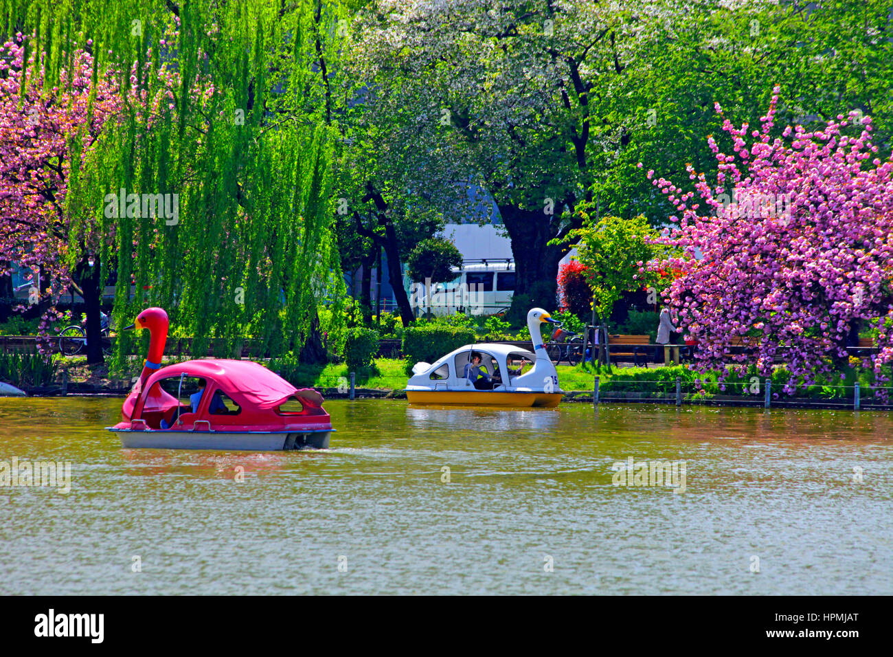 Shinobazu Pond in Ueno Park Tokyo Japan Stock Photo - Alamy