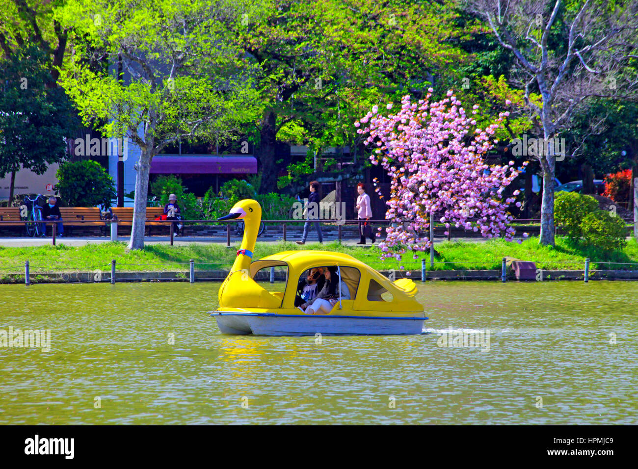 Shinobazu Pond in Ueno Park Tokyo Japan Stock Photo - Alamy