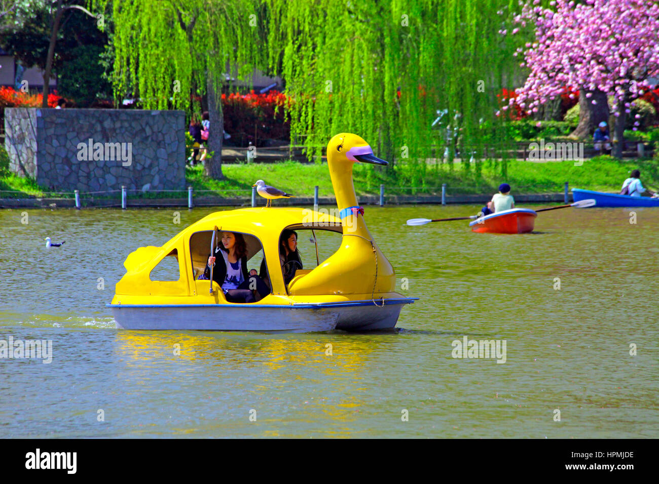Shinobazu Pond in Ueno Park Tokyo Japan Stock Photo - Alamy