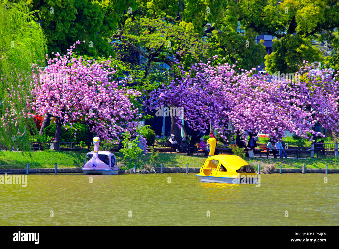 Shinobazu Pond in Ueno Park Tokyo Japan Stock Photo - Alamy