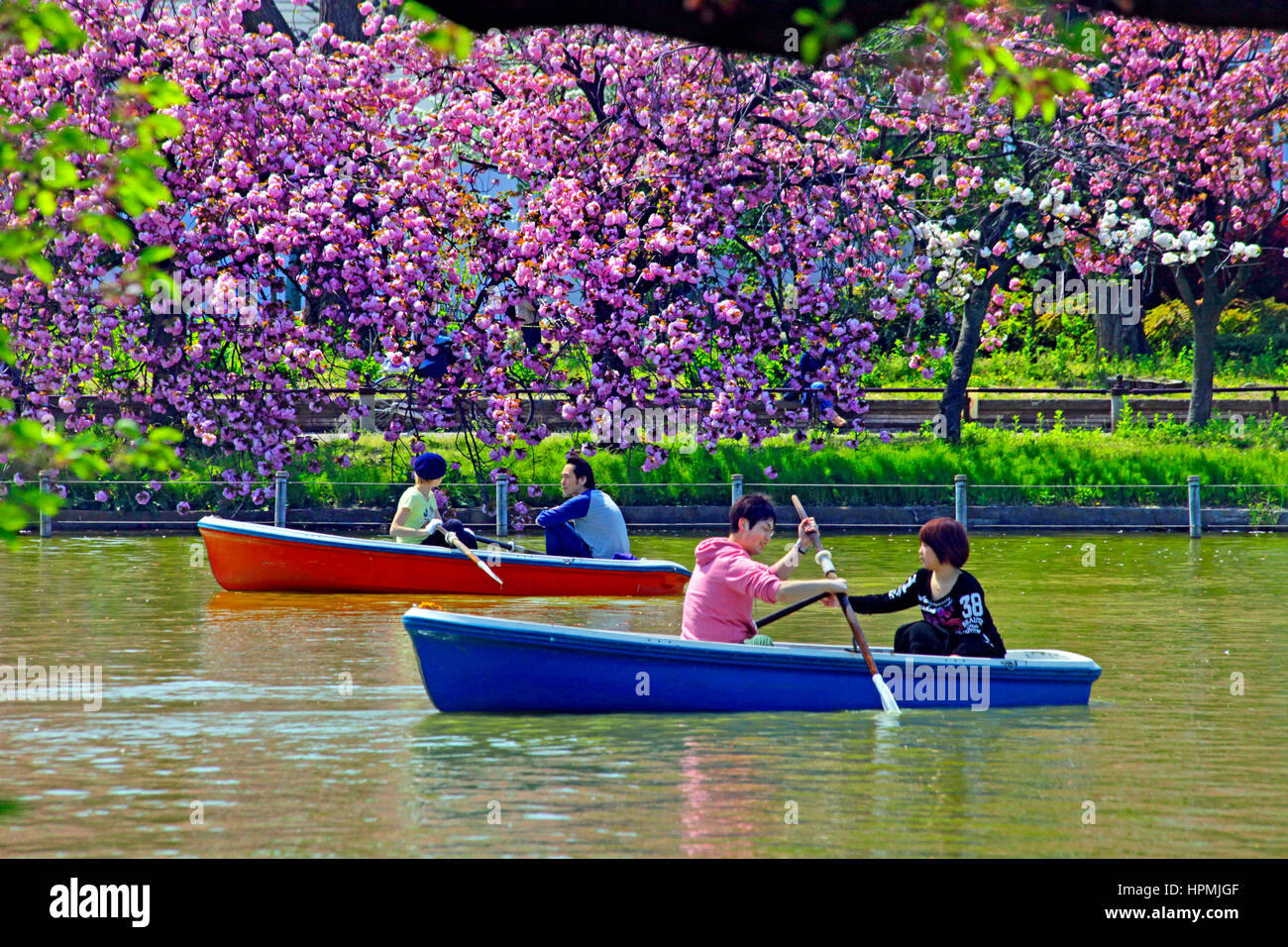Shinobazu Pond in Ueno Park Tokyo Japan Stock Photo - Alamy