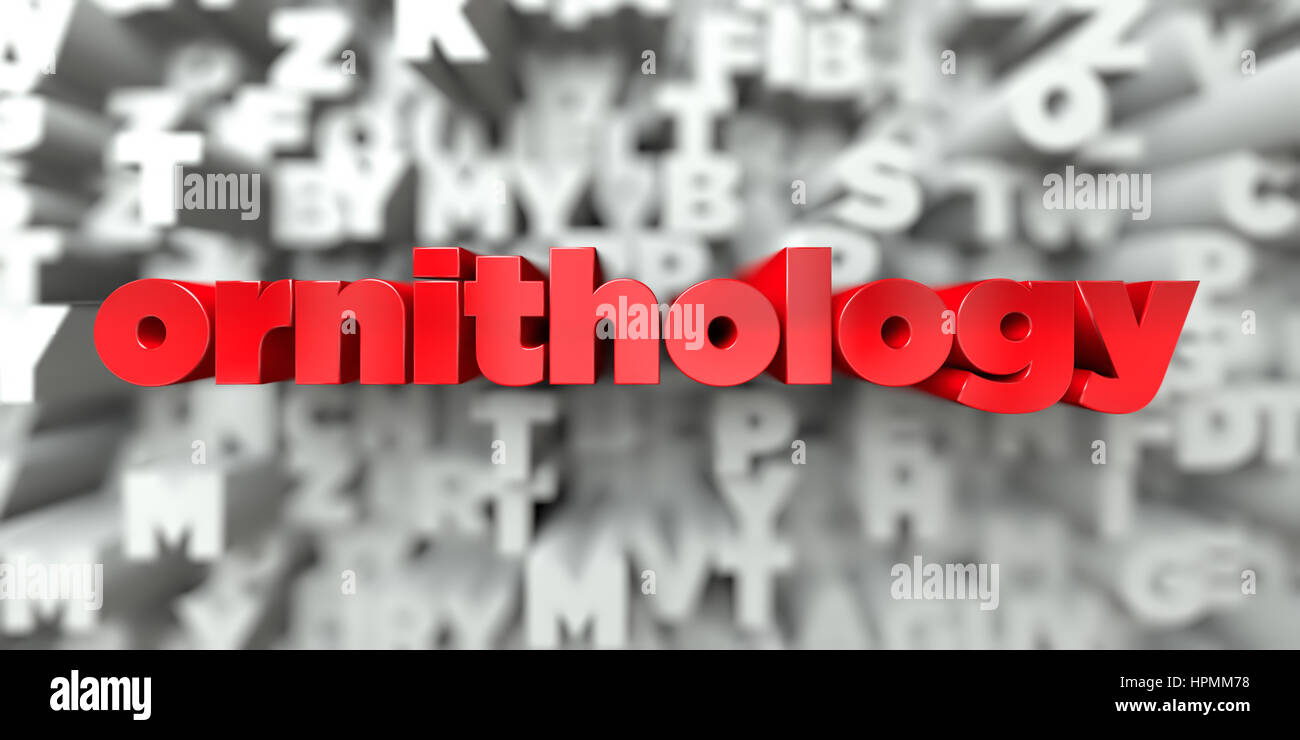 ornithology - Red text on typography background - 3D rendered royalty ...