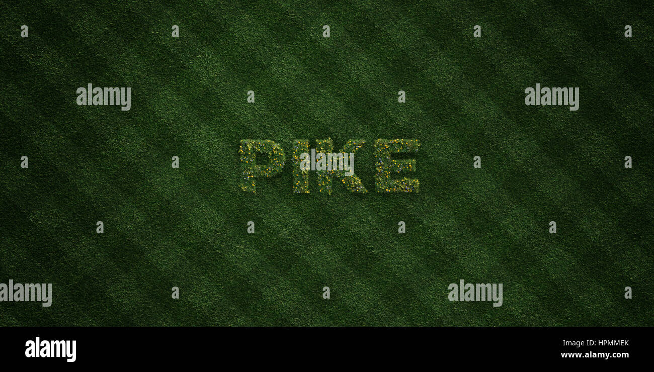 PIKE - fresh Grass letters with flowers and dandelions - 3D rendered ...