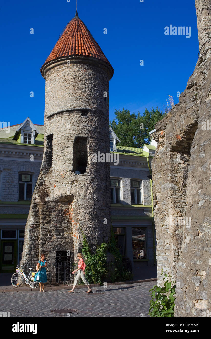 Viru varav city gate viru hi-res stock photography and images - Alamy