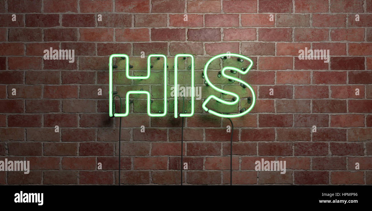 HIS - fluorescent Neon tube Sign on brickwork - Front view - 3D ...