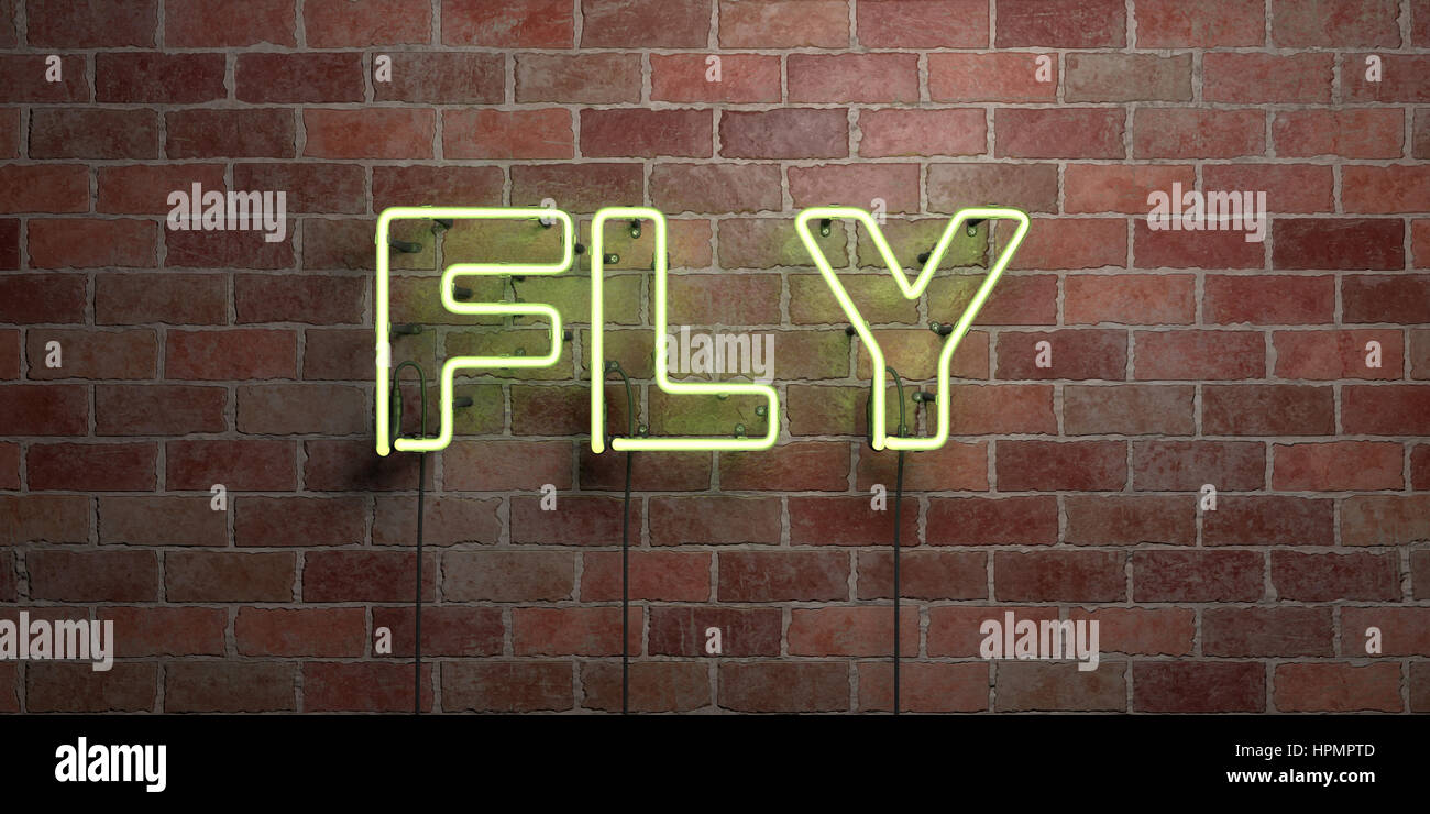 FLY - fluorescent Neon tube Sign on brickwork - Front view - 3D ...