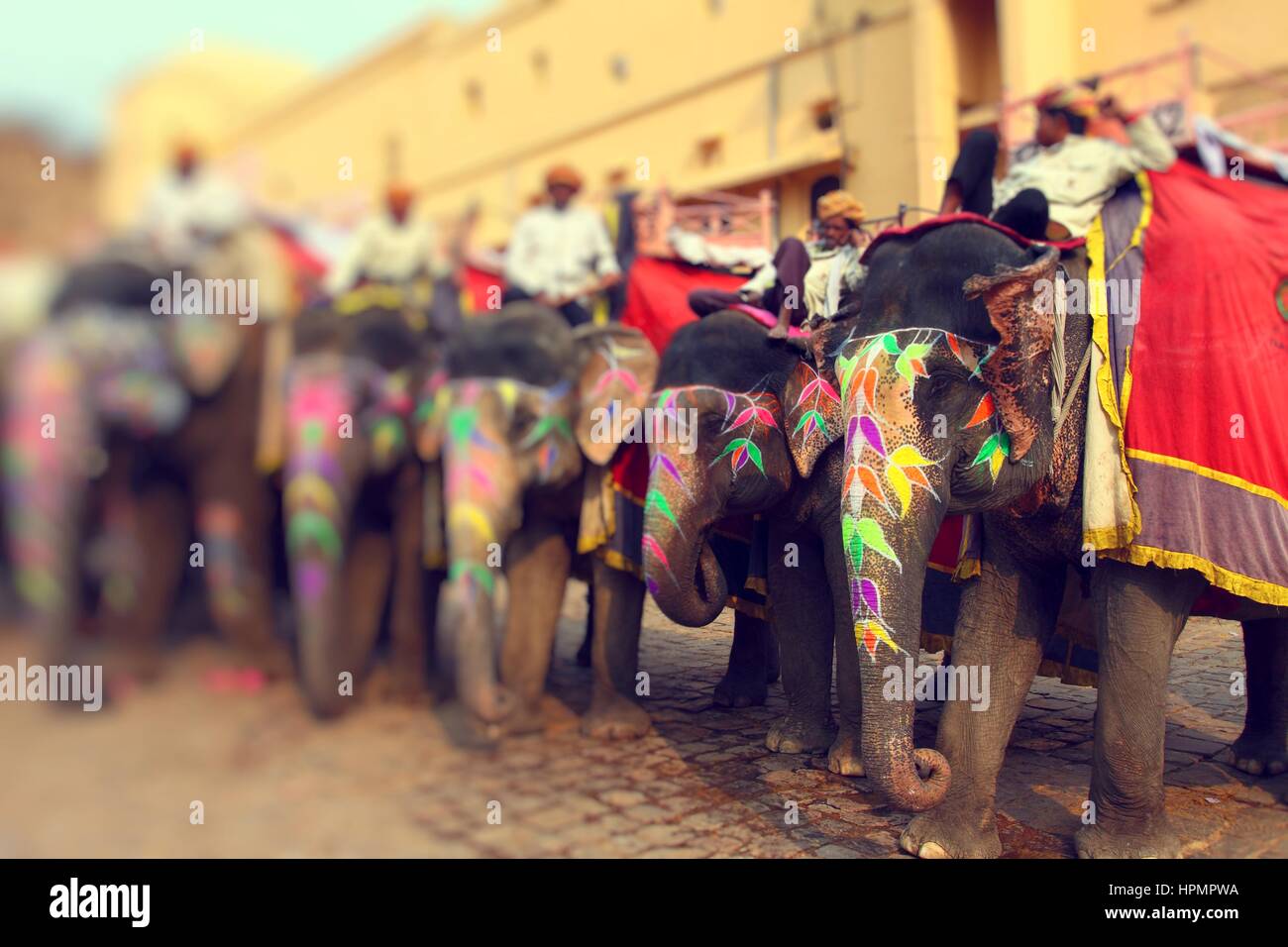 Elephant. India, Jaipur, state of Rajasthan Stock Photo - Alamy