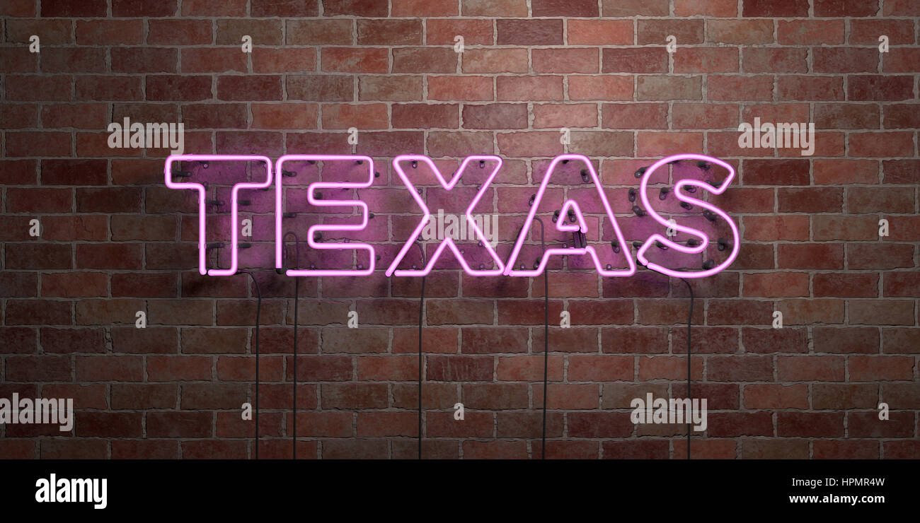 TEXAS - fluorescent Neon tube Sign on brickwork - Front view - 3D ...