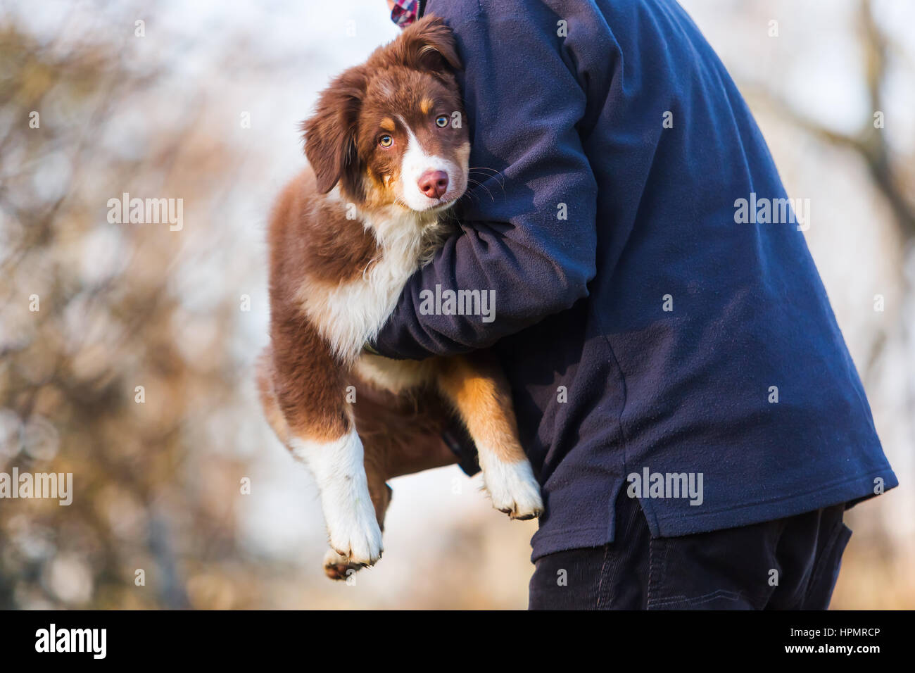 Man carrying puppy hi-res stock photography and images - Alamy