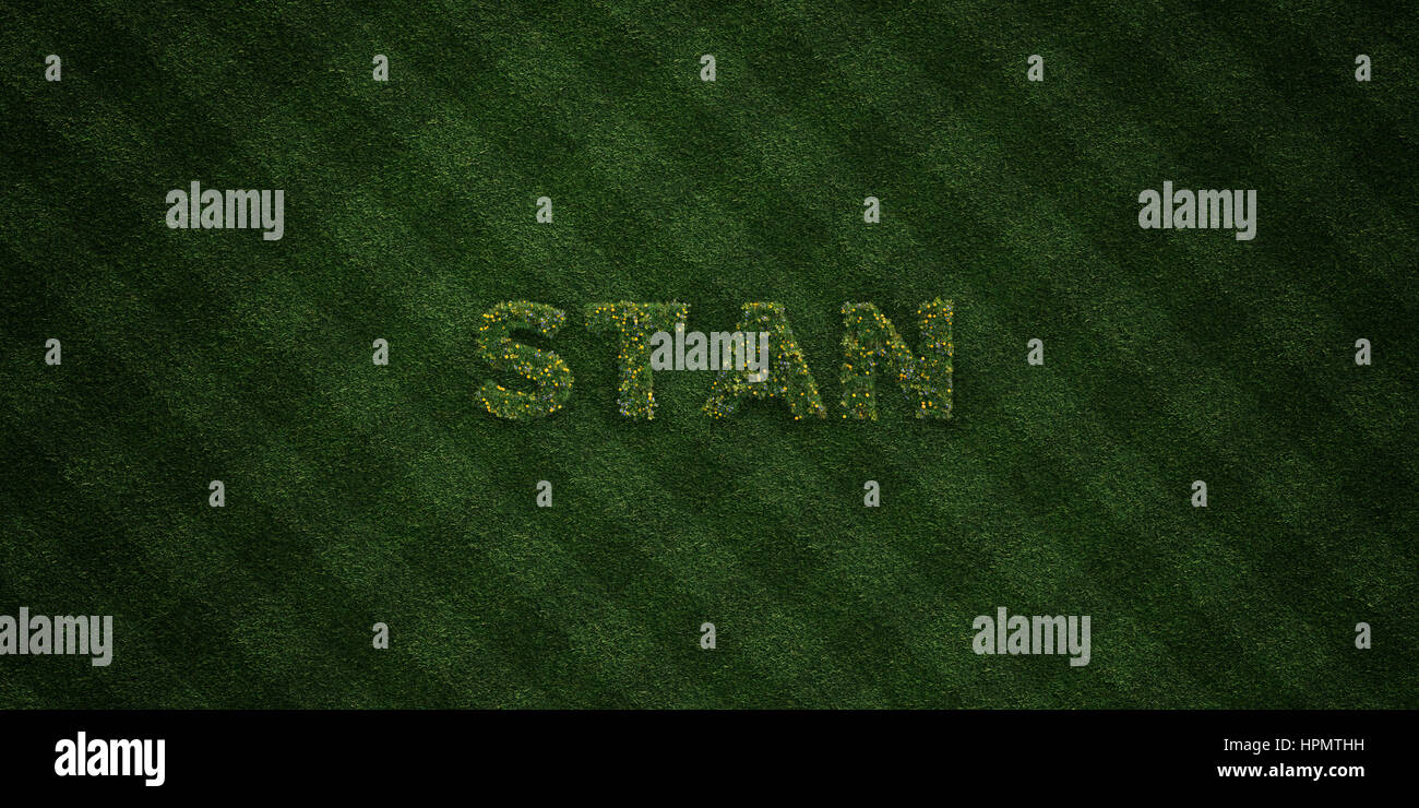 STAN - fresh Grass letters with flowers and dandelions - 3D rendered ...