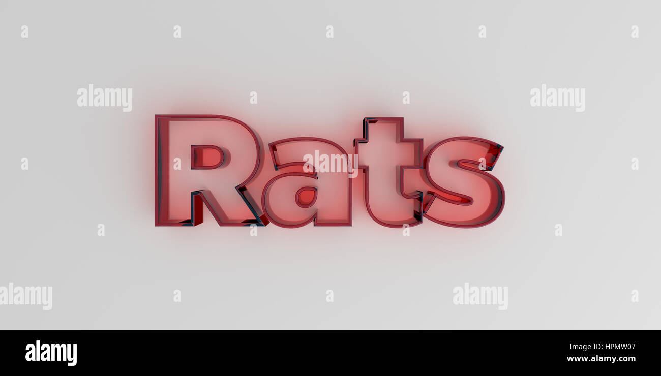 Rats - Red glass text on white background - 3D rendered royalty free ...