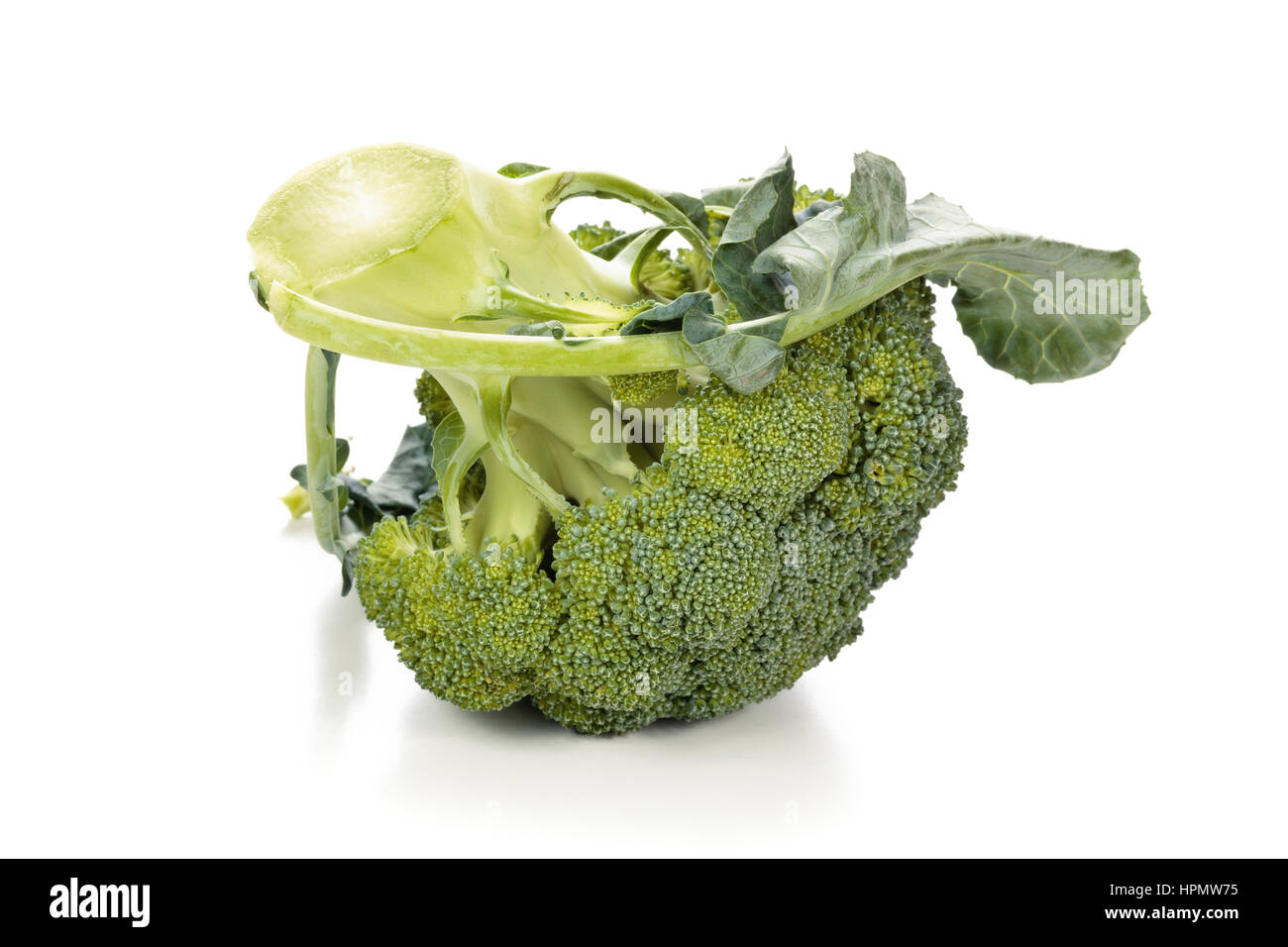 Closeup shot of fresh broccoli. Isolated on white background Stock ...