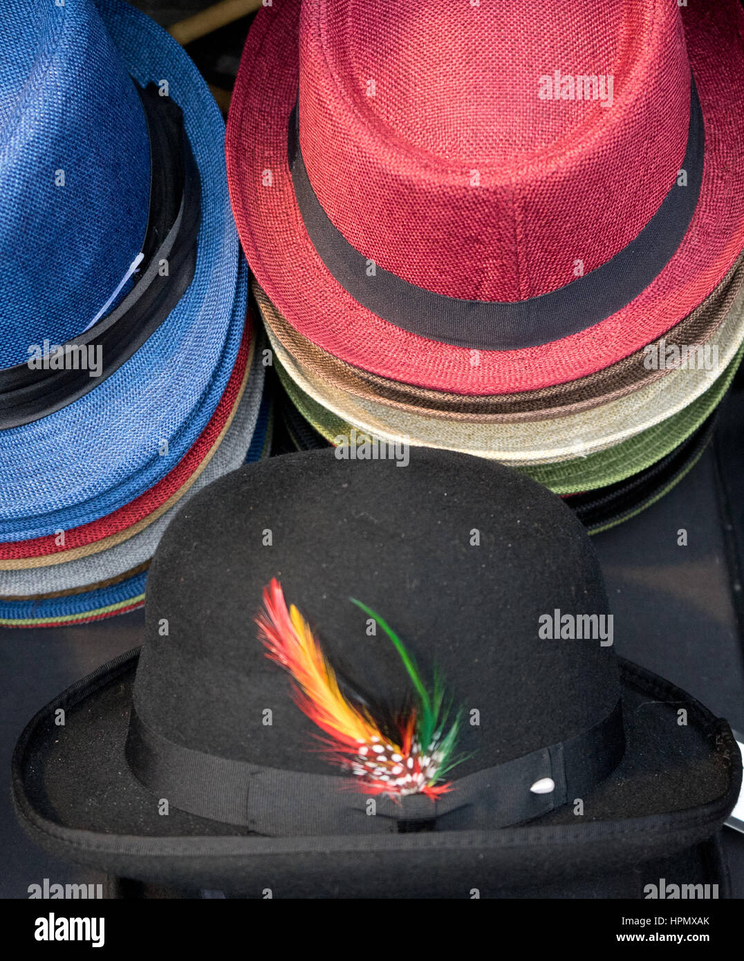 Trilby hat feather hi-res stock photography and images - Alamy