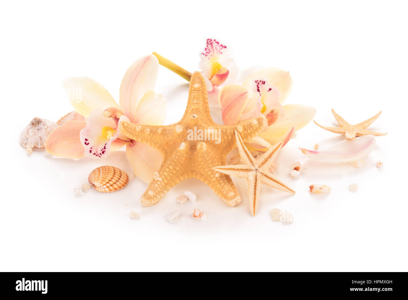 Shells, pebbles and orchids. Isolated on white Stock Photo - Alamy