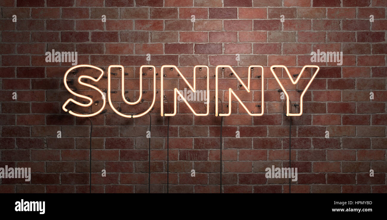 SUNNY - fluorescent Neon tube Sign on brickwork - Front view - 3D ...