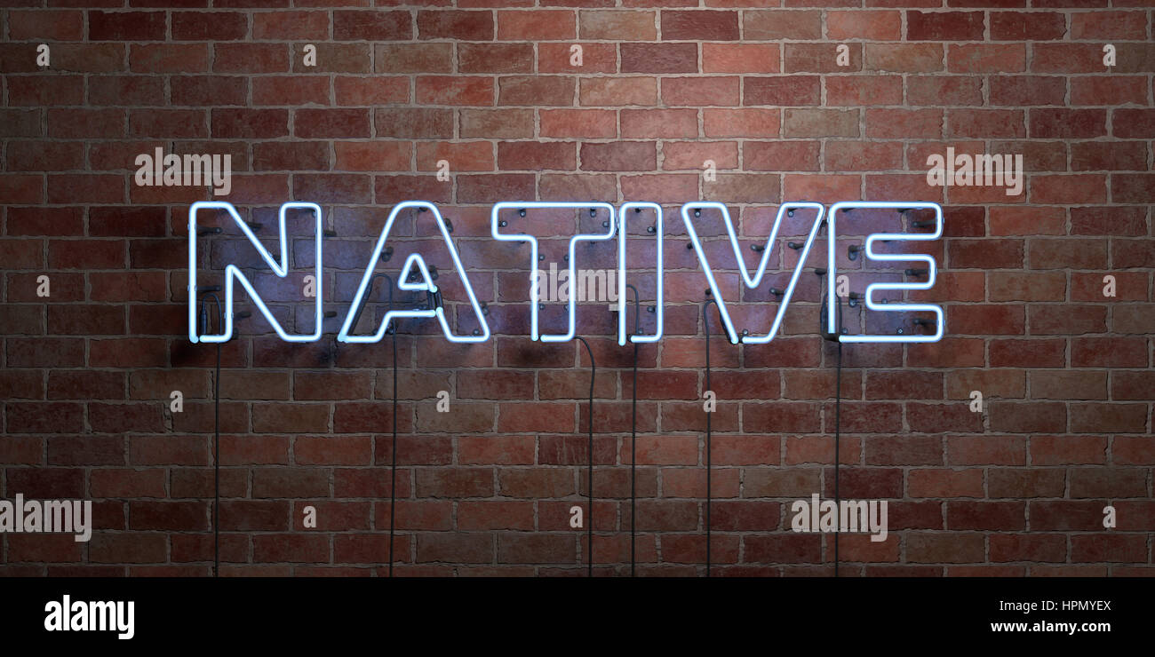 NATIVE - fluorescent Neon tube Sign on brickwork - Front view - 3D ...