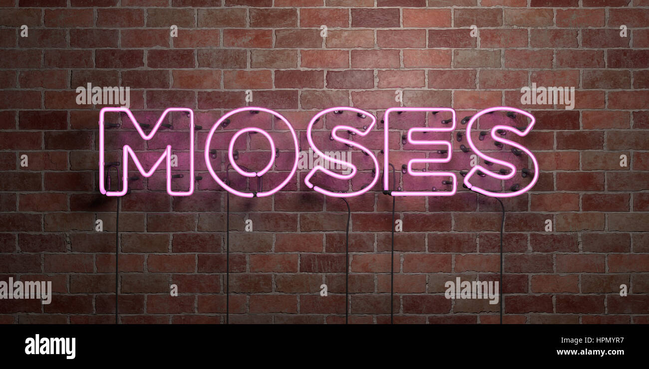 MOSES - fluorescent Neon tube Sign on brickwork - Front view - 3D ...