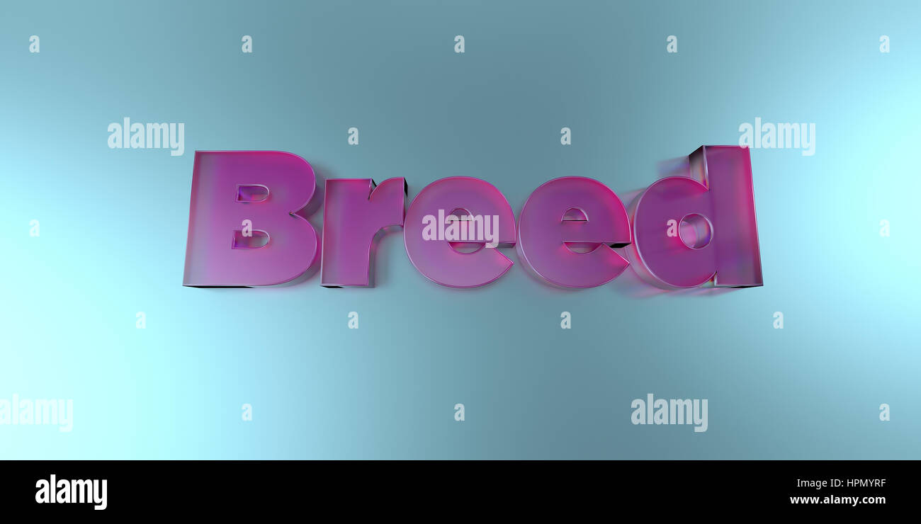 Breed - colorful glass text on vibrant background - 3D rendered royalty ...