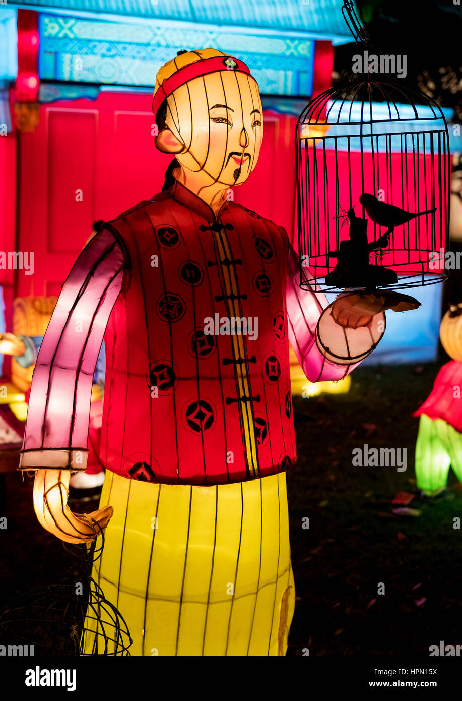 Chinese man with a bird cage hi-res stock photography and images - Alamy