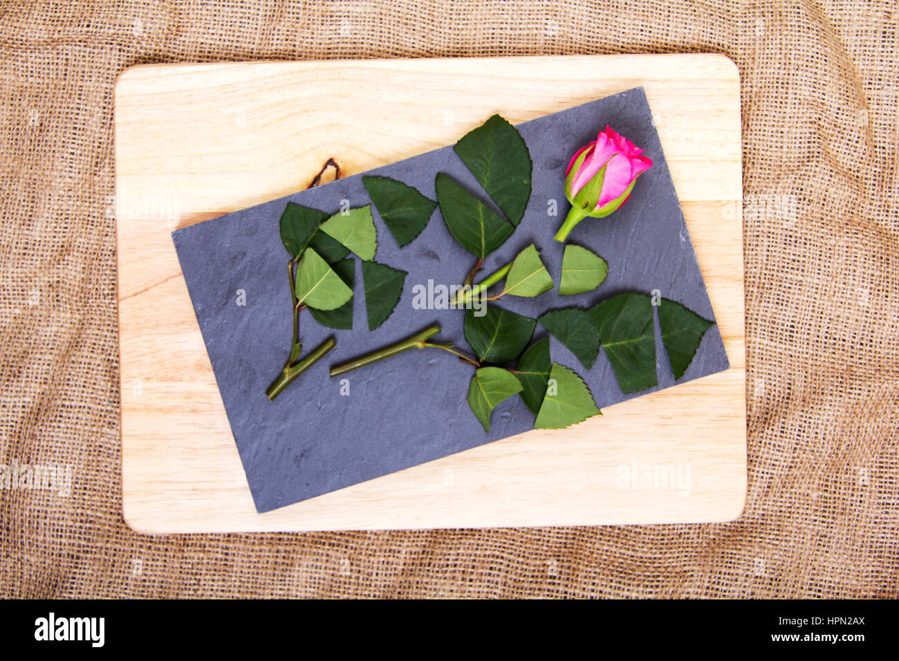 Single rose cut up on piece of slate Stock Photo - Alamy