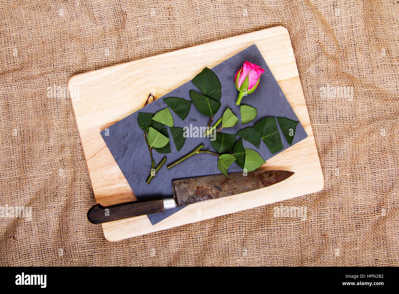 Single rose cut up on piece of slate Stock Photo - Alamy