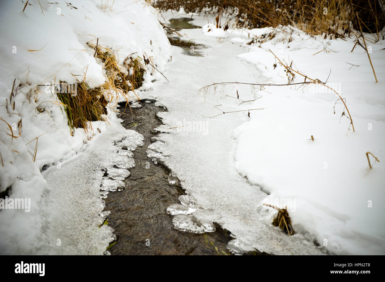 Winter river with snow, ice and some plants Stock Photo - Alamy