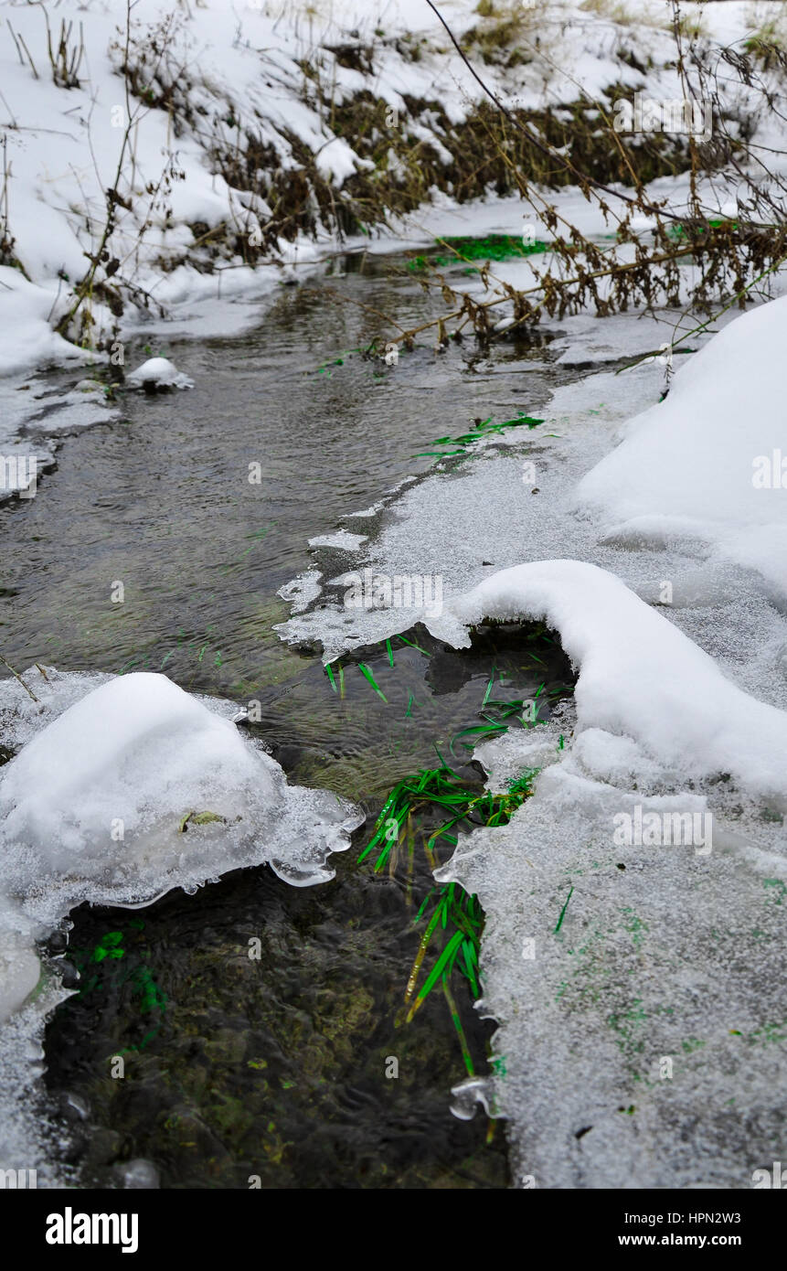 Winter river with snow, ice and some plants Stock Photo - Alamy