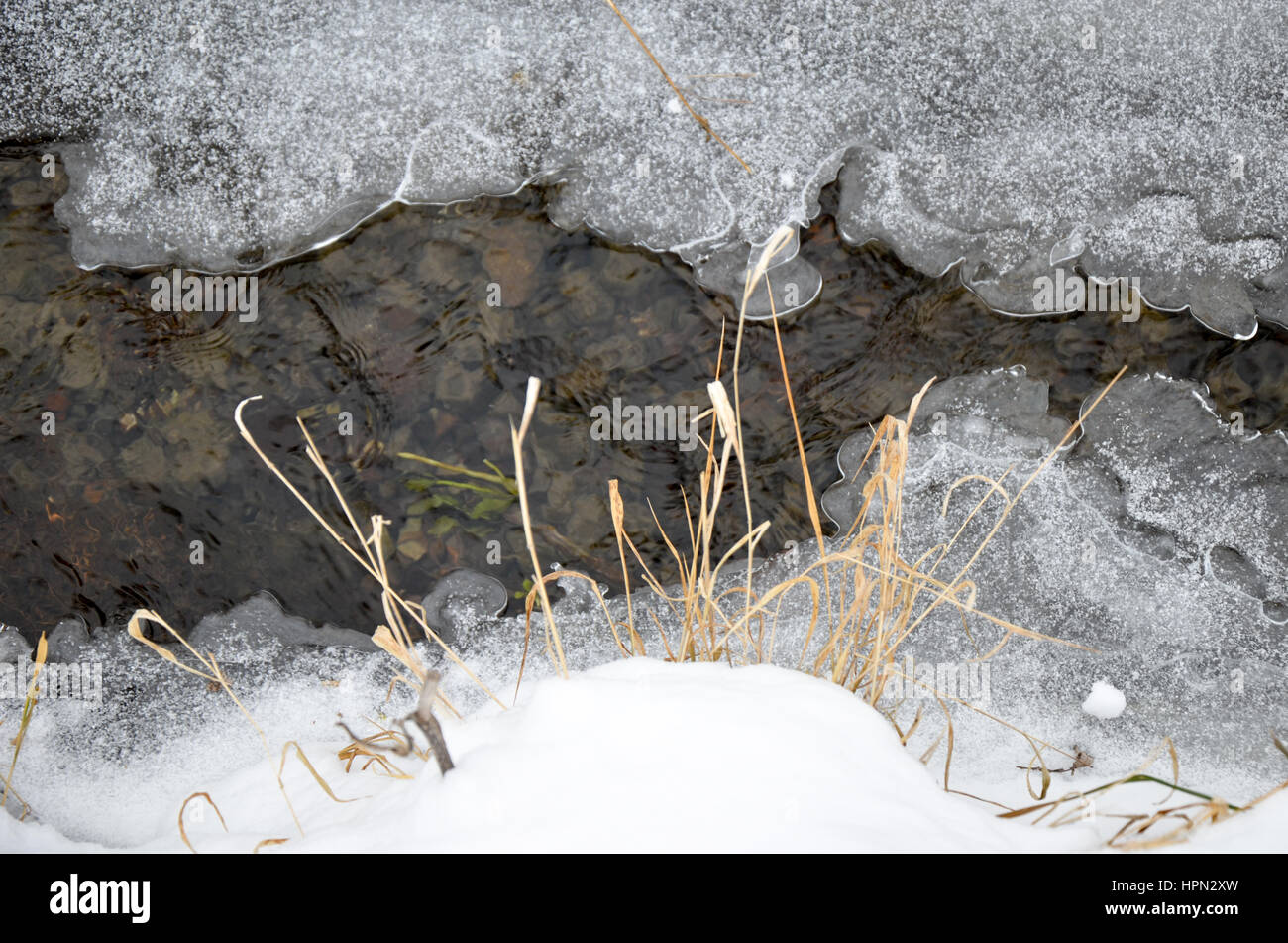 River snow dry grass hi-res stock photography and images - Alamy