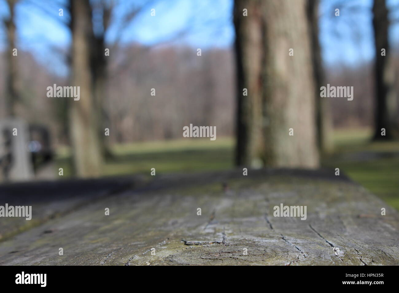 Blurry photo winter nature hi-res stock photography and images - Alamy