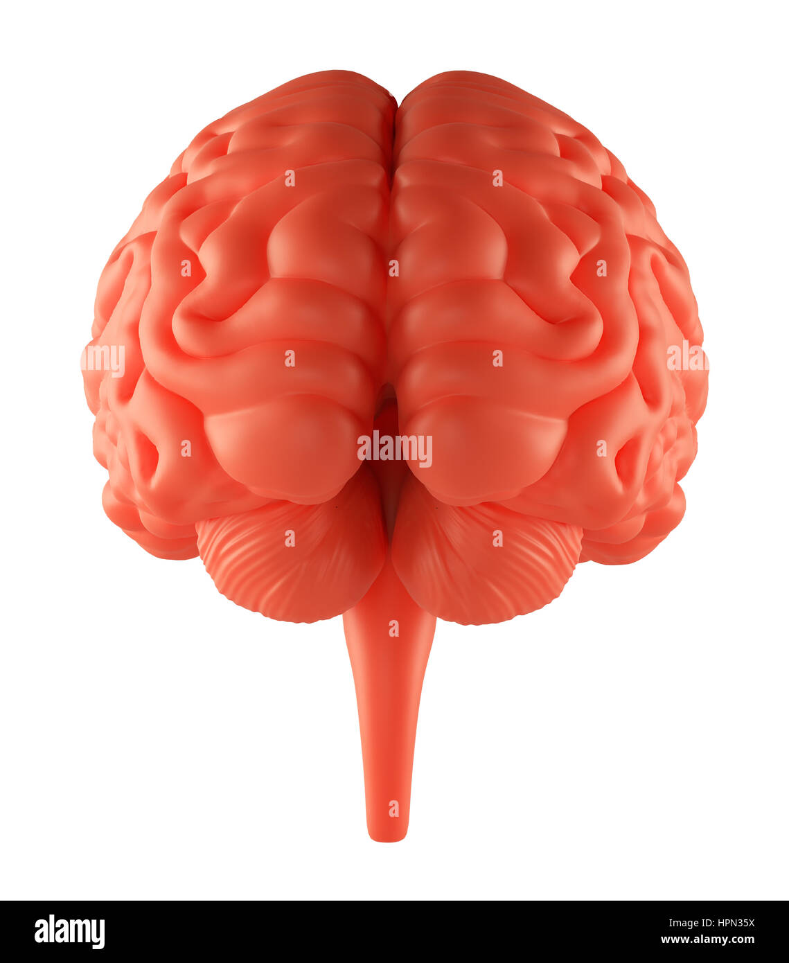 Anger Red Brain Stock Photo - Alamy