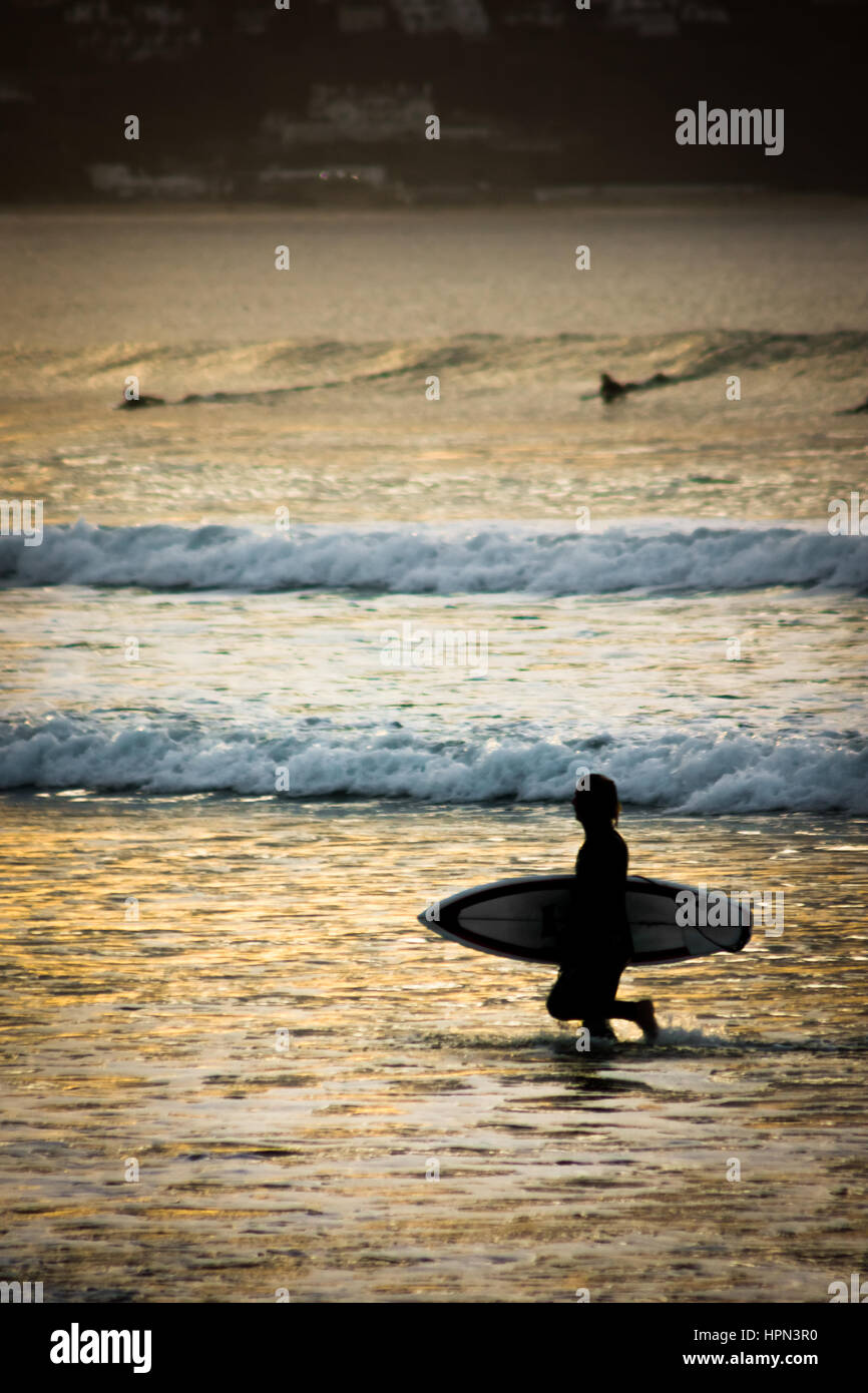 A Cornish surfer leaving the water after a session Stock Photo - Alamy