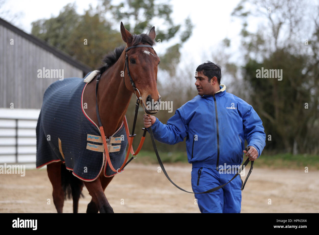 Cue Card is paraded with his handler during a stable visit to Colin ...
