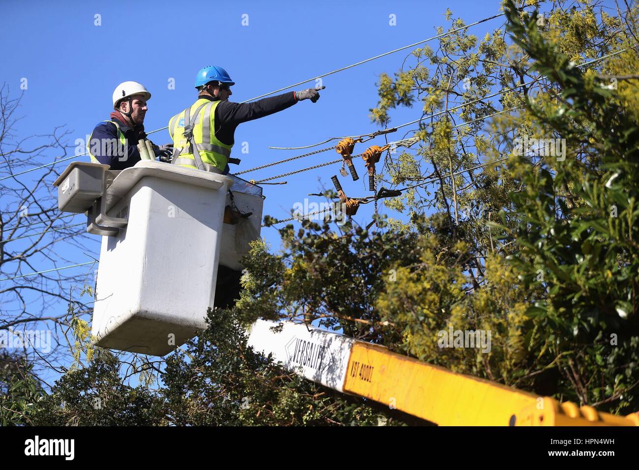 ESB workers attend to power lines damaged by a fallen tree as allmost ...