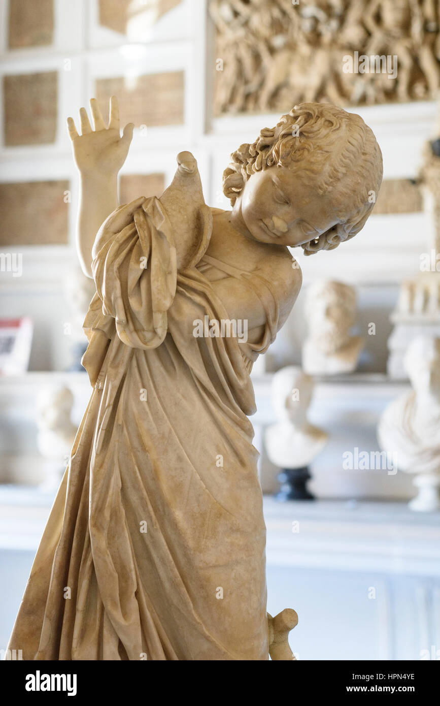 Young Dove High Resolution Stock Photography and Images - Alamy