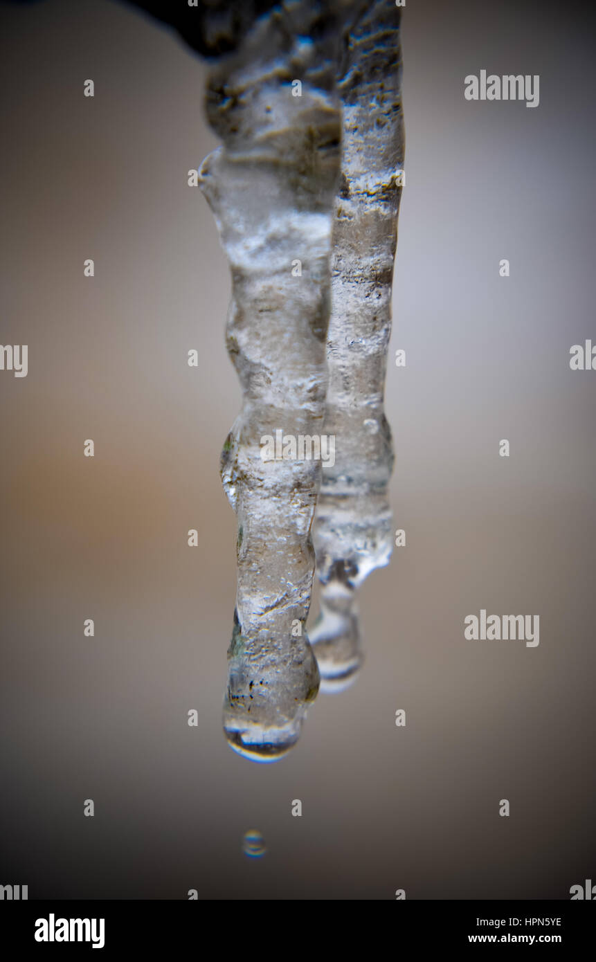 Transparent clear two icicles hang Stock Photo - Alamy