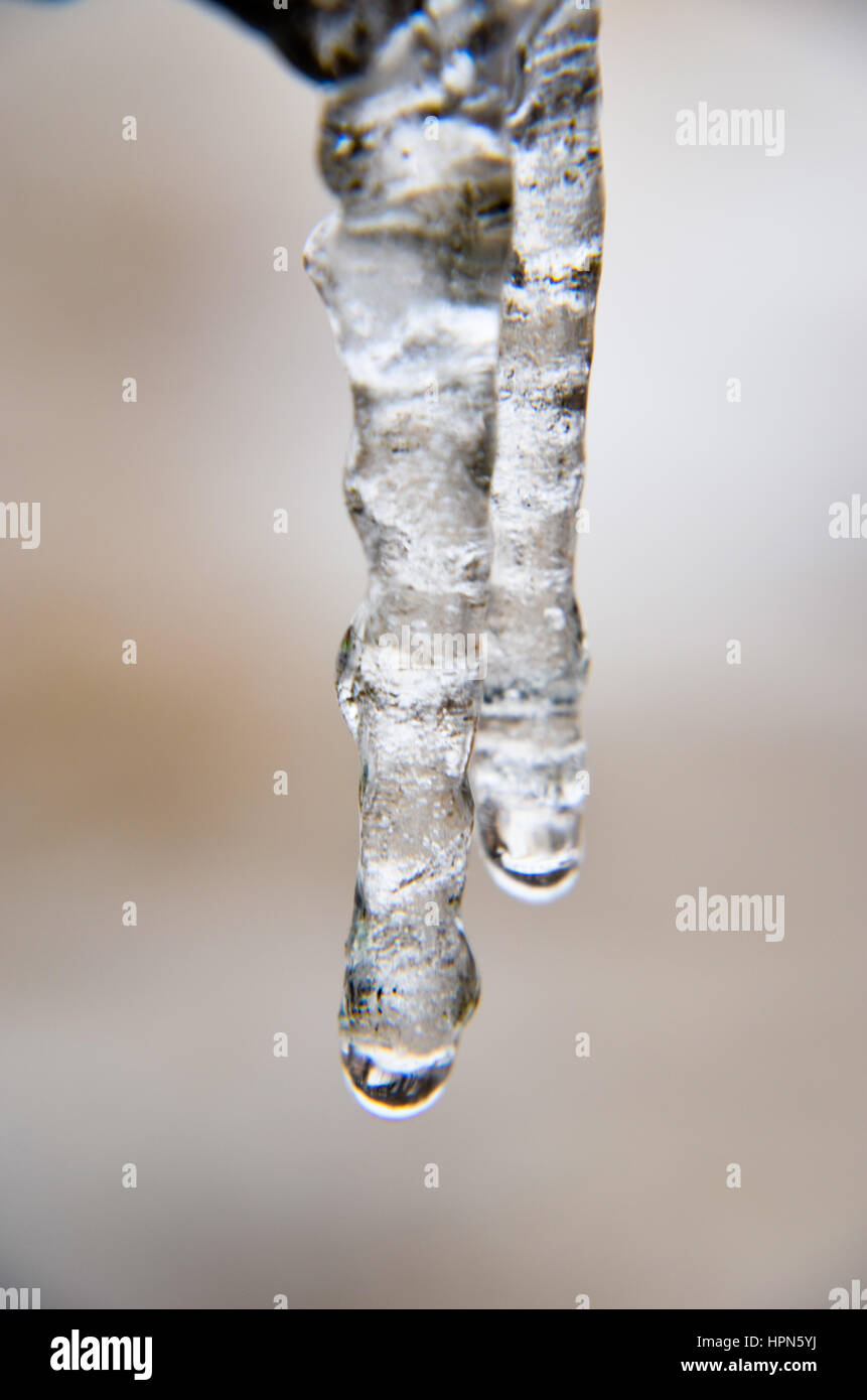Transparent clear two icicles hang Stock Photo - Alamy