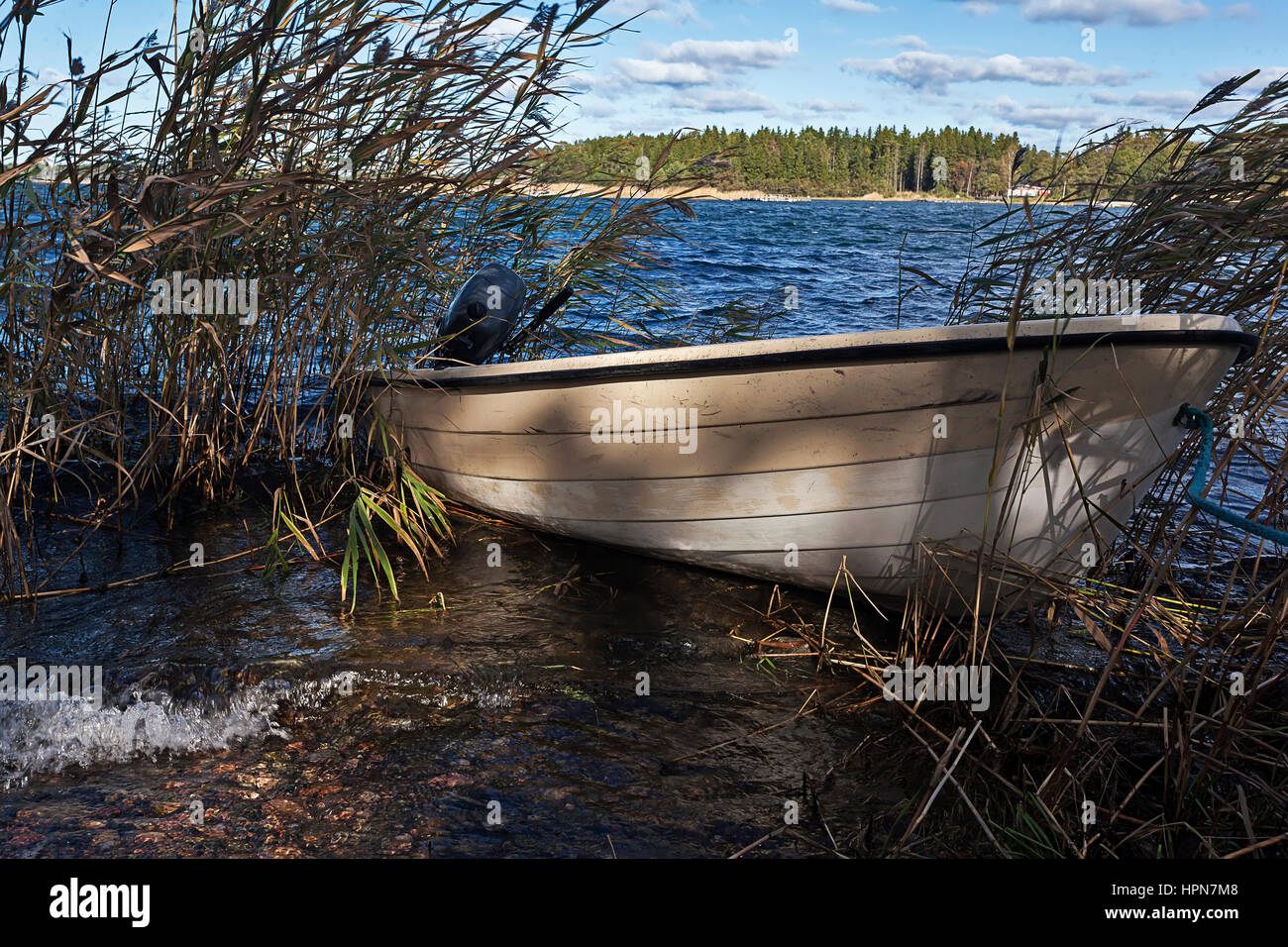 Boat and reed at a small lake in Serbia Stock Photo - Alamy