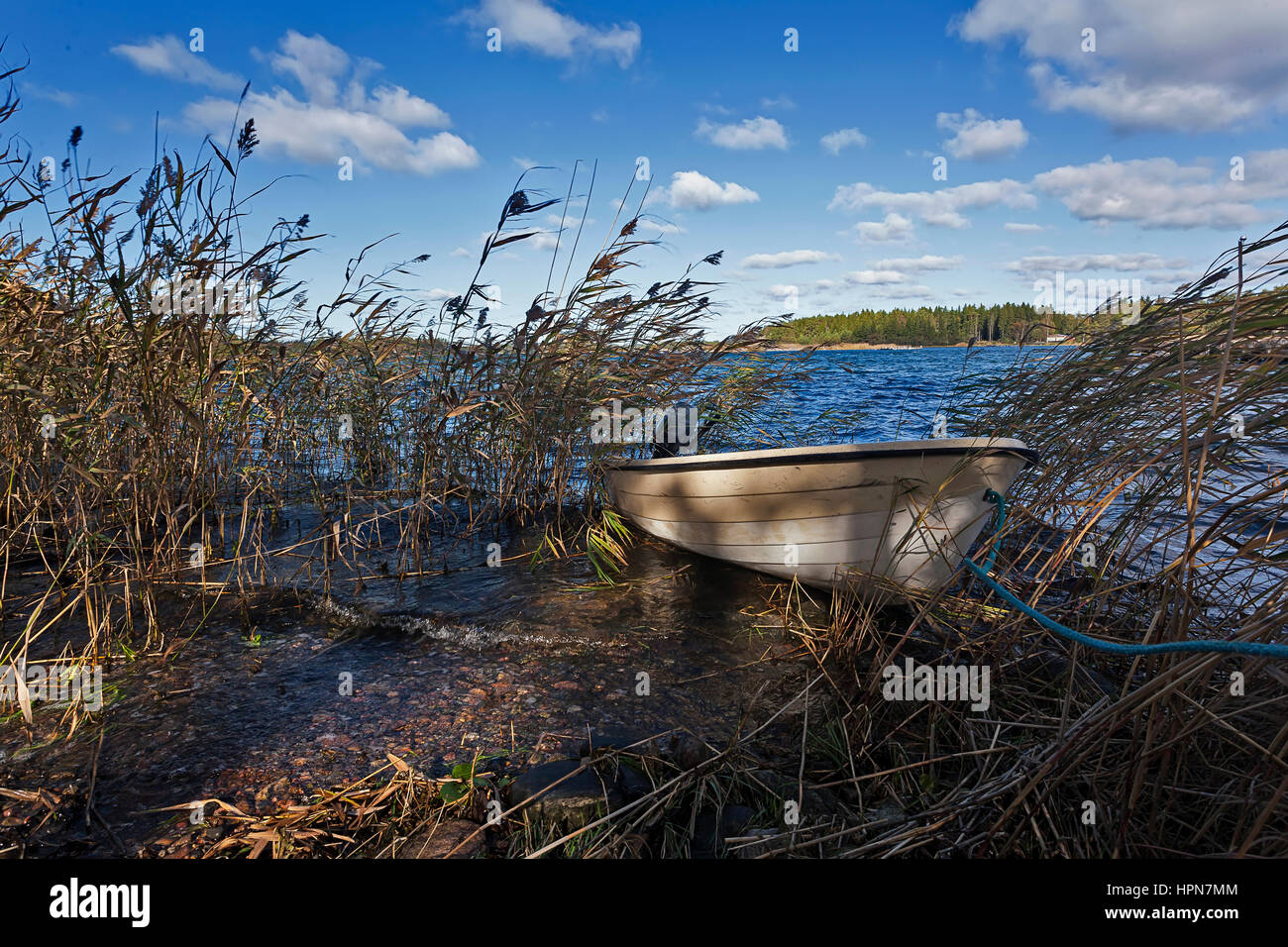 Boat and reed at a small lake in Serbia Stock Photo - Alamy