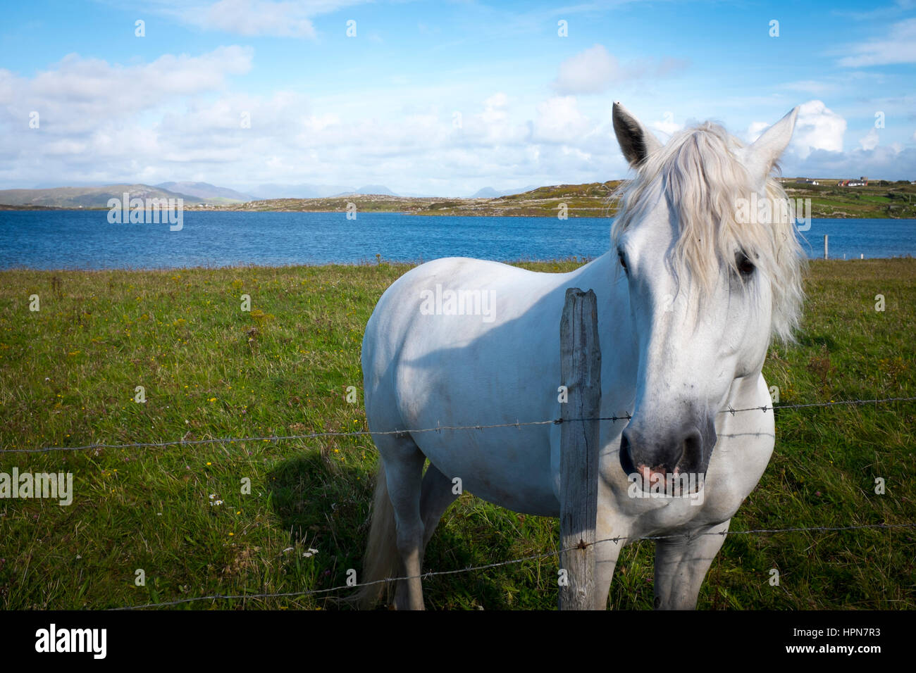 Cleggan hi-res stock photography and images - Alamy