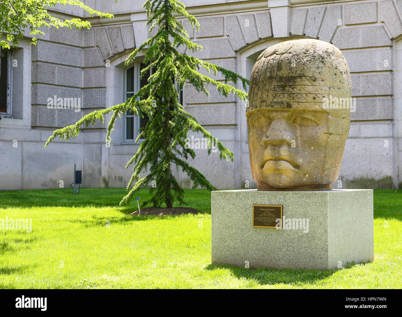 Colossal head 4 olmec hi-res stock photography and images - Alamy