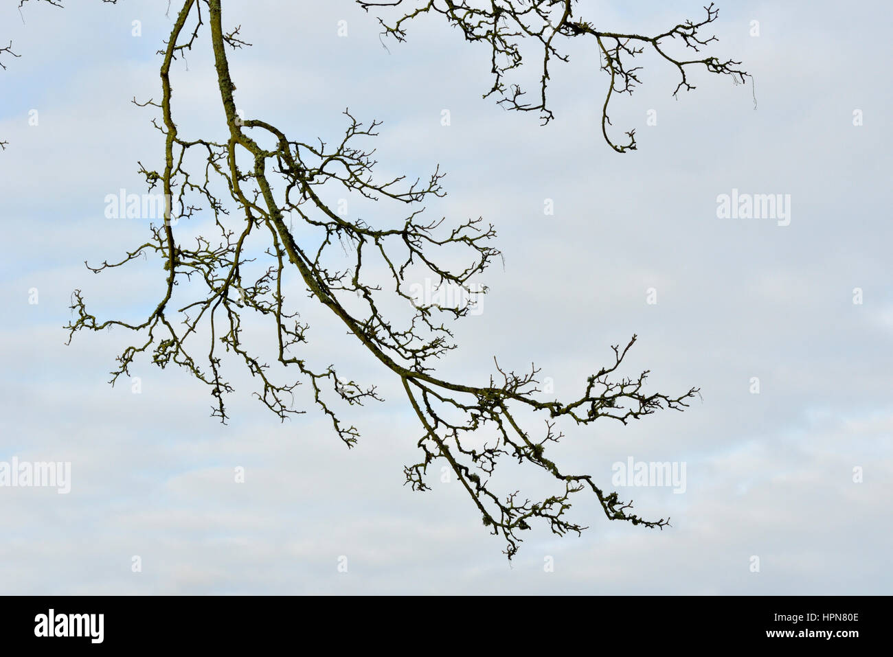 Plain sky hi-res stock photography and images - Alamy