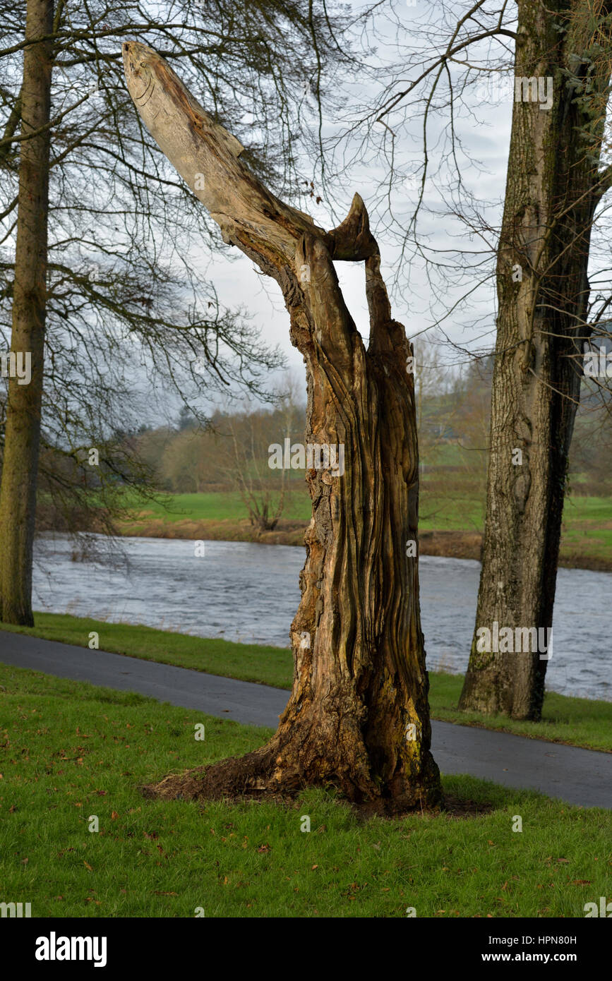 Tree stump sculpture hi-res stock photography and images - Alamy