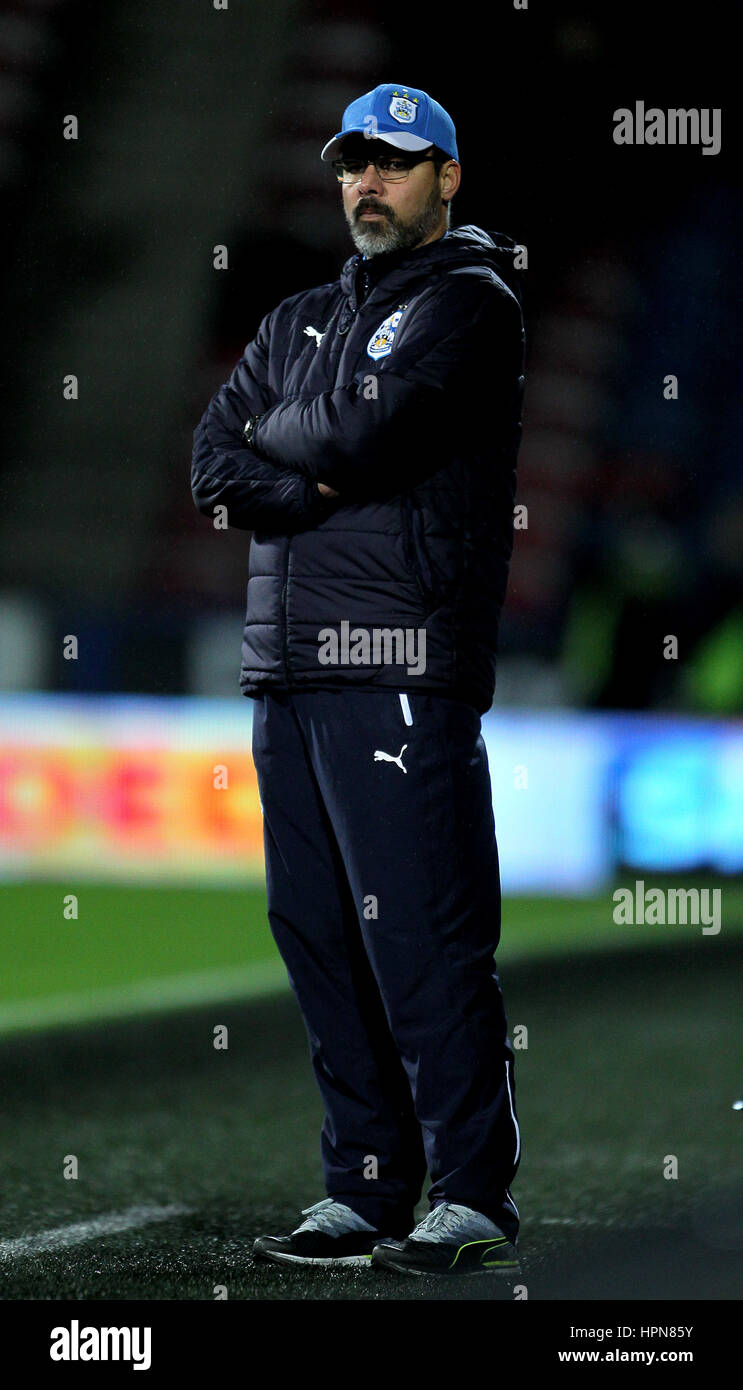 Huddersfield Town manager David Wagner Stock Photo - Alamy