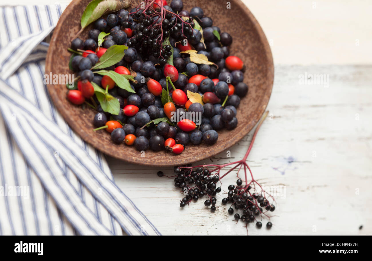 British hedgerow autumn fruits on distressed wood background Stock ...