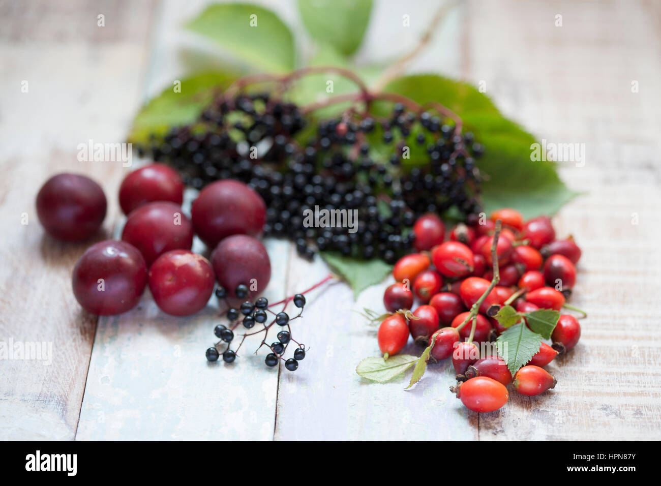 Wild fruits hi-res stock photography and images - Alamy