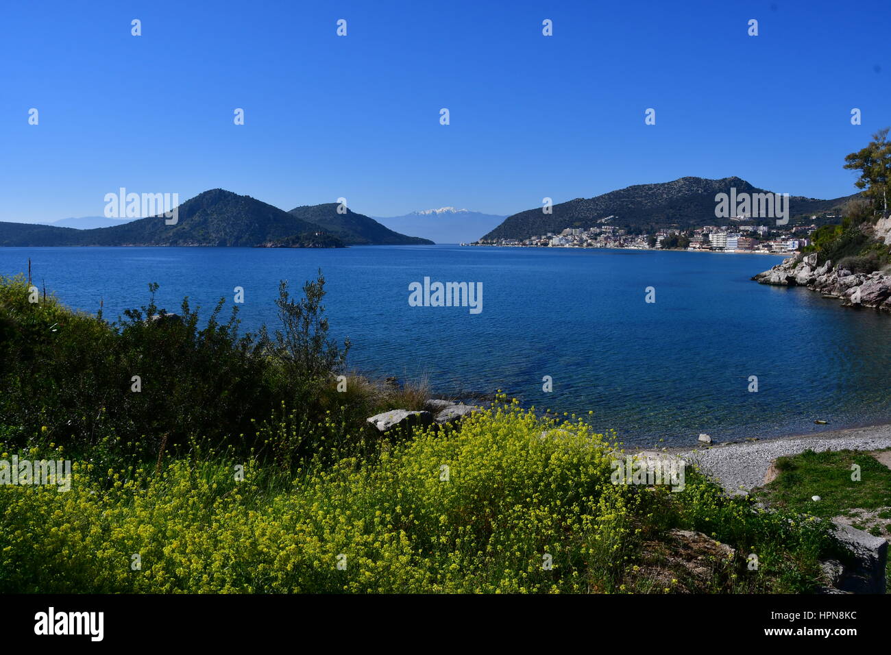 Tolo ,Greece 23 February 2017 . Spring images from Tolo in Argolida ...
