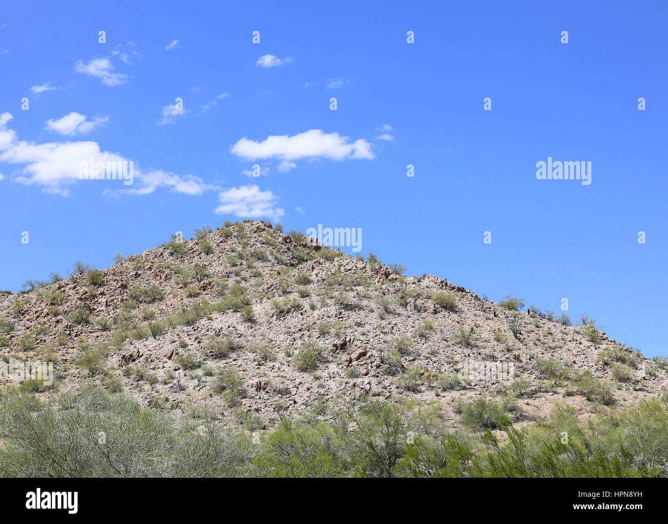 Rugged hill in the Sonoran Desert, Arizona, USA, with some shrubs ...